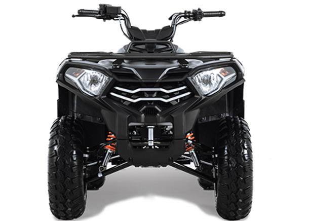 Качественный квадроцикл XWolf 300 от компании LONCIN