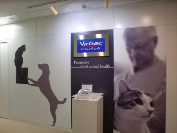 Купить Пронефра за 4400 руб | Из Франции | Москва, в наличии